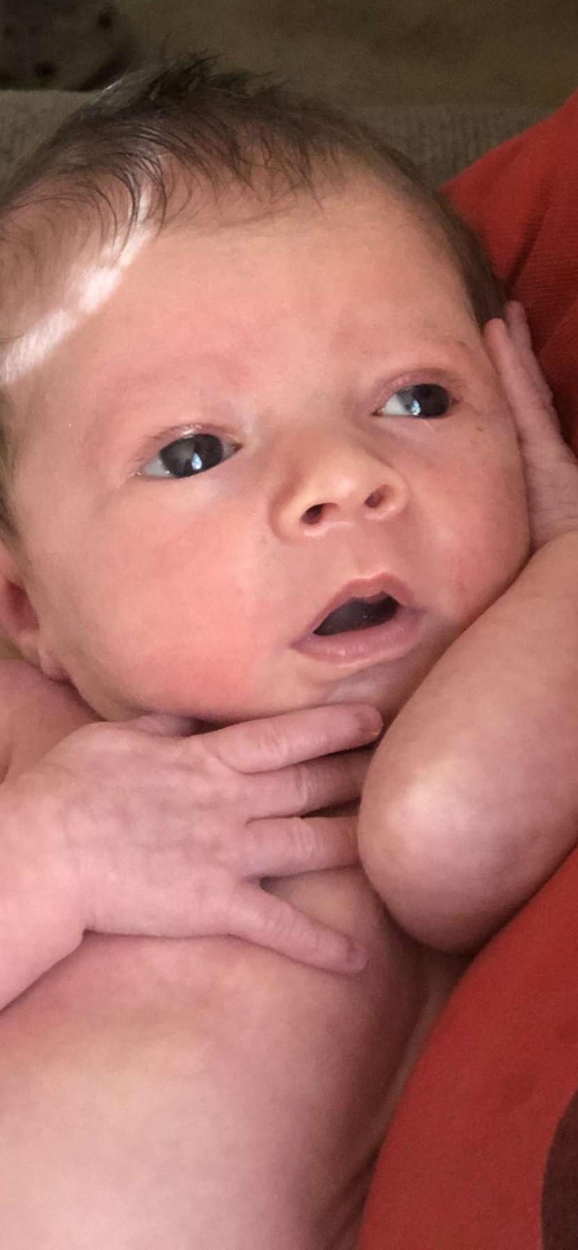 Bryer Smith Obituary - Winder, GA