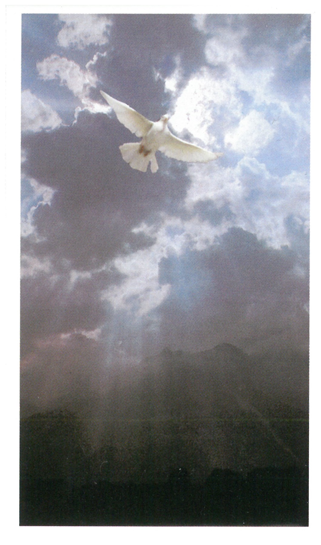Beckett Graham Weibel Obituary - Houston, TX