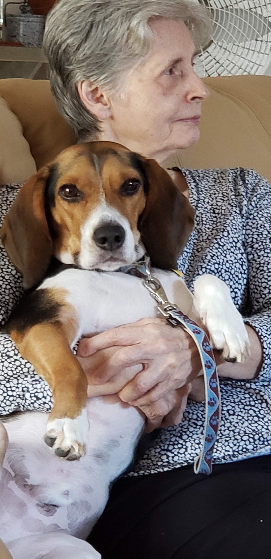 Carolyn Cox Obituary - Punta Gorda, FL