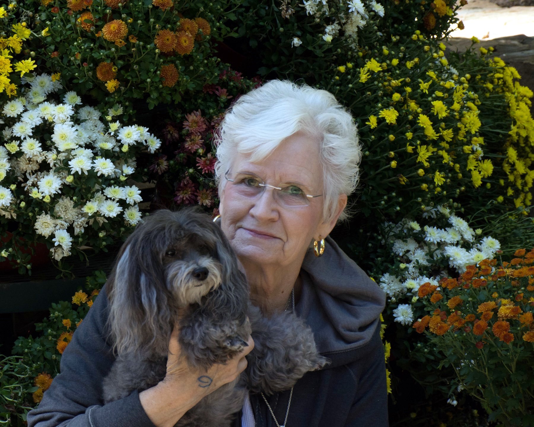 Sharon Daniel-Pels Obituary - Webster, TX