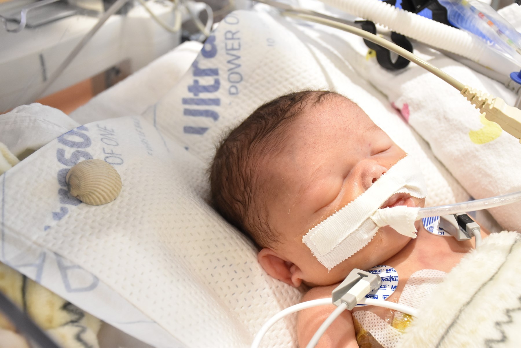 Nolan Lee Madden Obituary - Frisco, TX