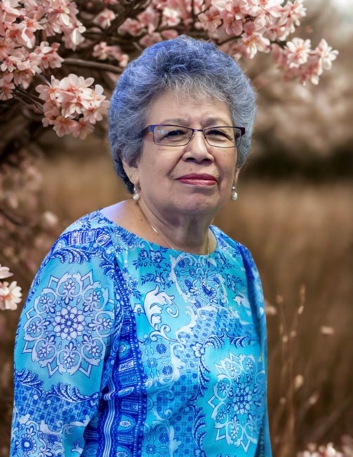 Guadalupe Mayorga Obituary - Houston, TX