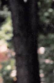 Joseph J. Taubery Obituary - Stickney, IL Joseph J. Taubery Obituary - Stickney, IL