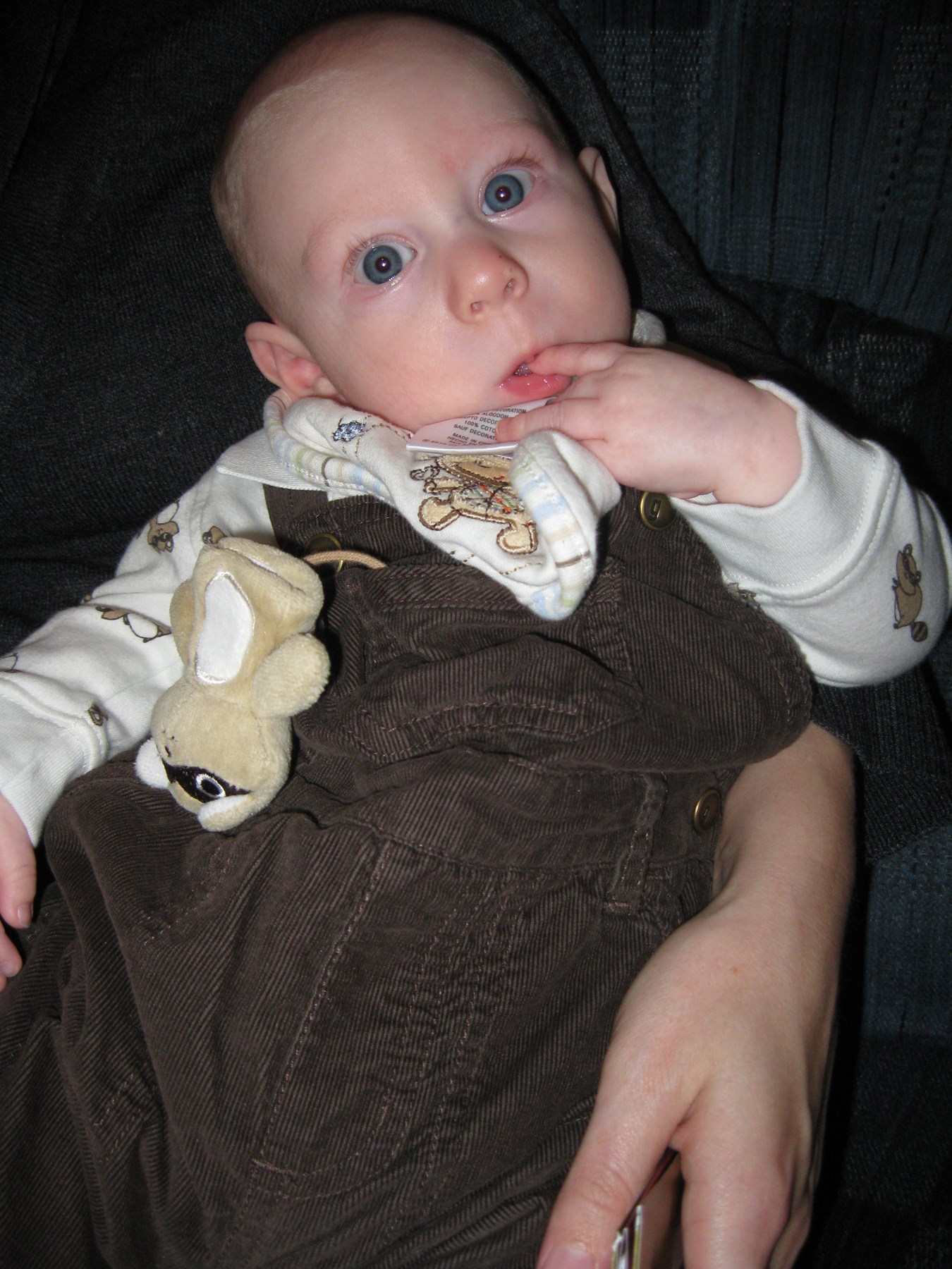 Mason Burkhart's Instagram, Twitter & Facebook on IDCrawl