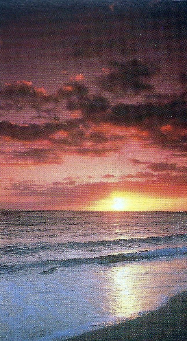 Edward Stauffer Jr. Obituary - Centereach, NY