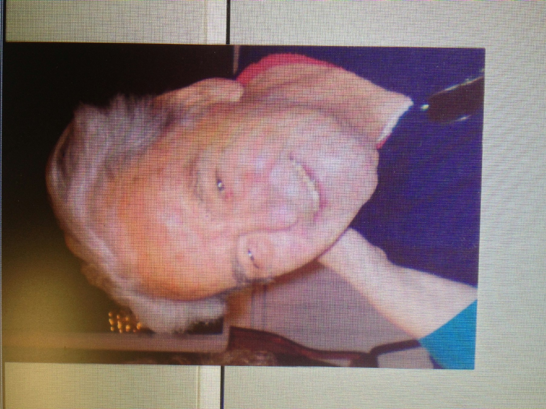 Michael Mongello Obituary - Syosset, NY