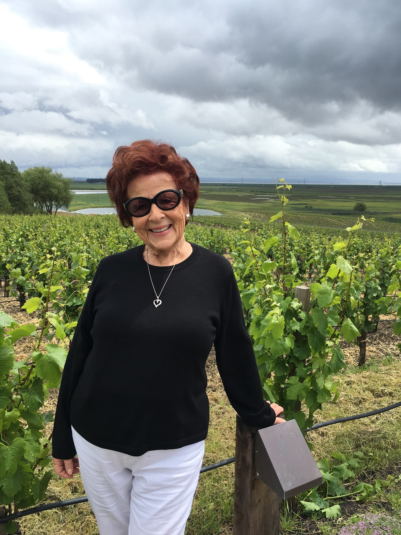 Ann Holloway Cummins Obituary - Corona Del Mar, CA