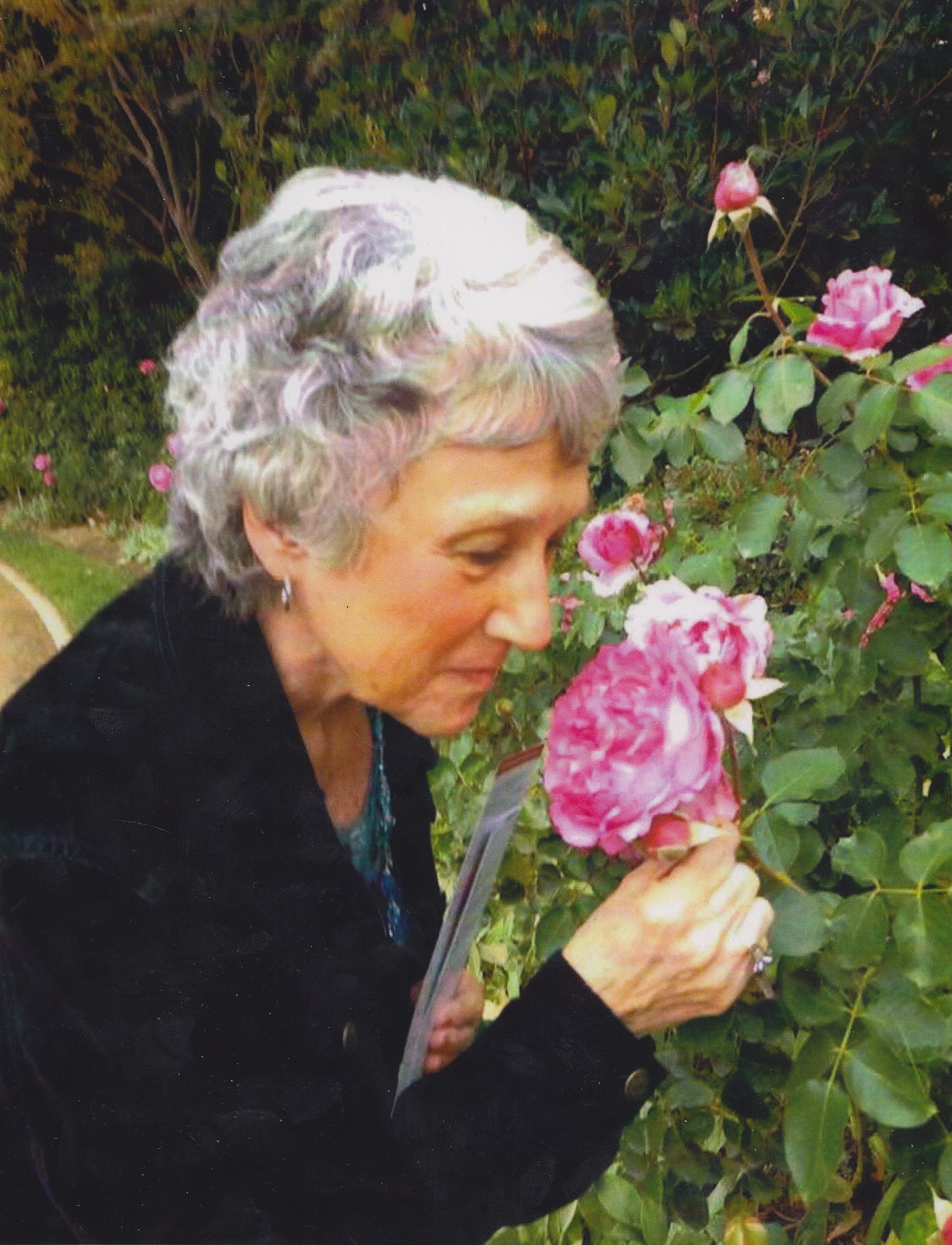 Barbara Lambert Obituary - Mission Viejo, CA
