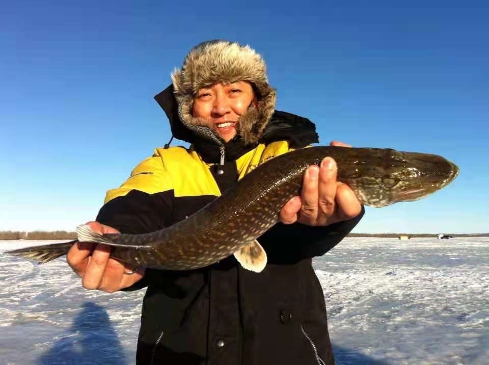 Bin Xie Obituary - Edmonton, AB