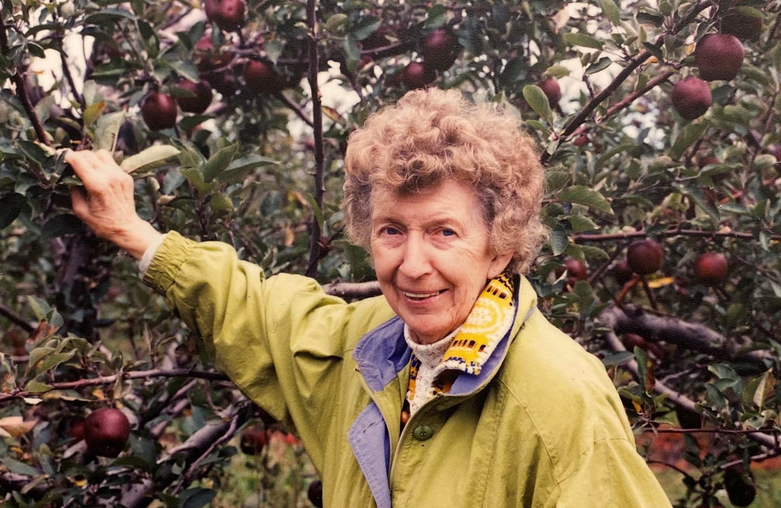 Iris Donovan Obituary - Toronto, ON