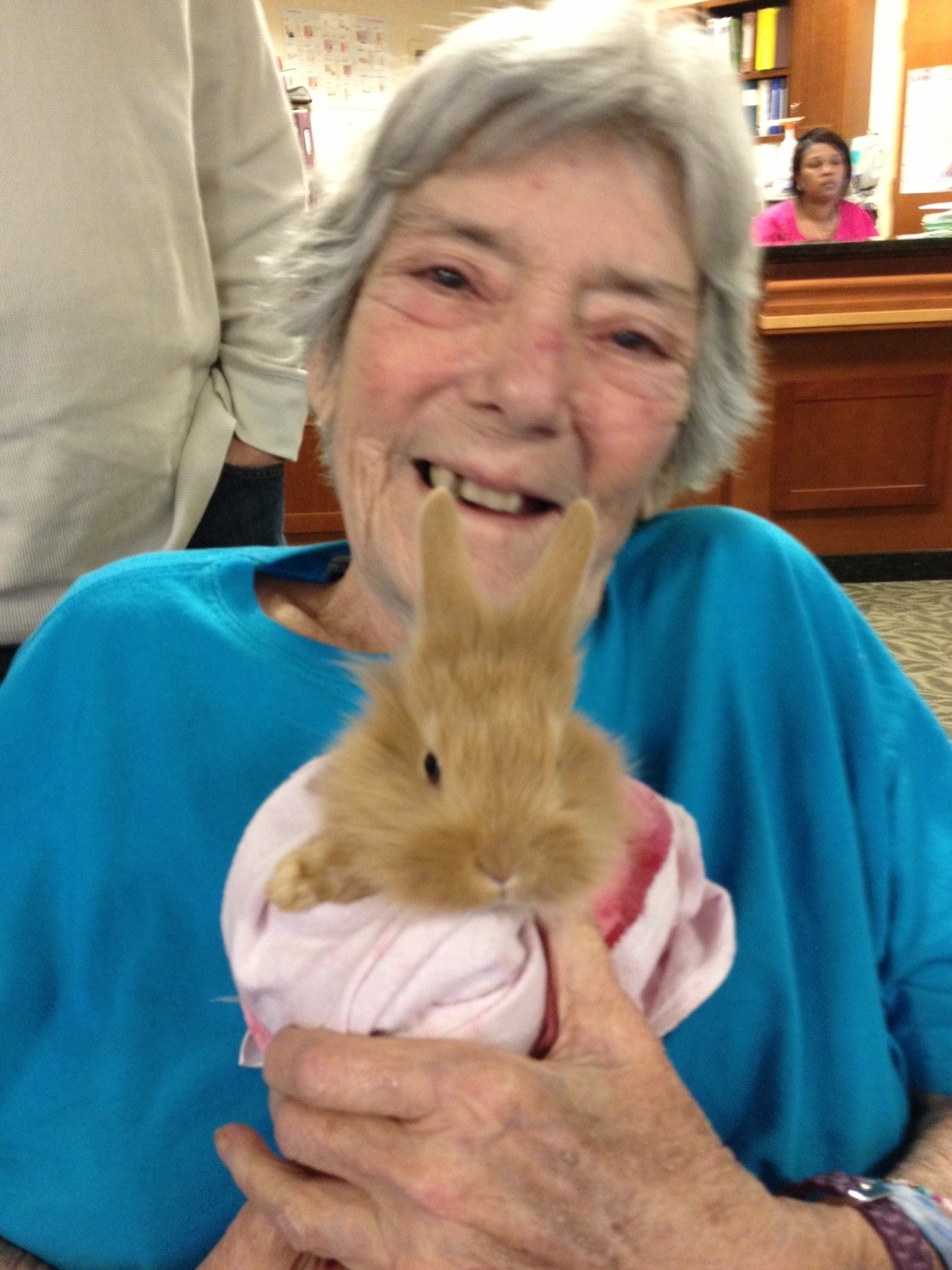 Ann B. Ayres Obituary - Orleans, MA