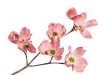 Patsy Ridge Obituary - Charlotte, NC