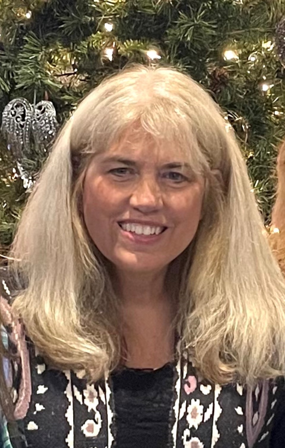 Susan Maurer Obituary - Grand Rapids, MI