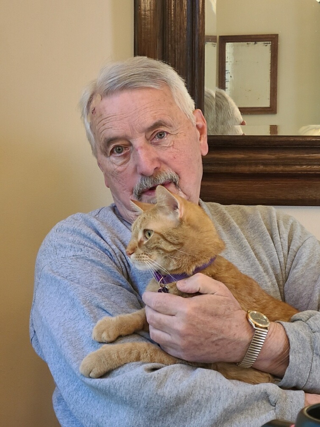 Edward McIntosh Obituary - Ann Arbor, MI