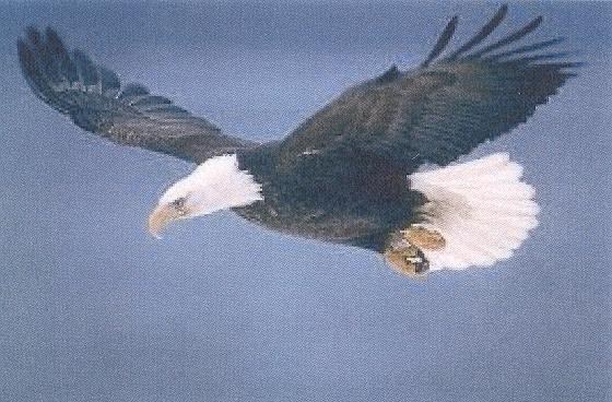 Gary Salisbury Obituary - Jacksonville, FL