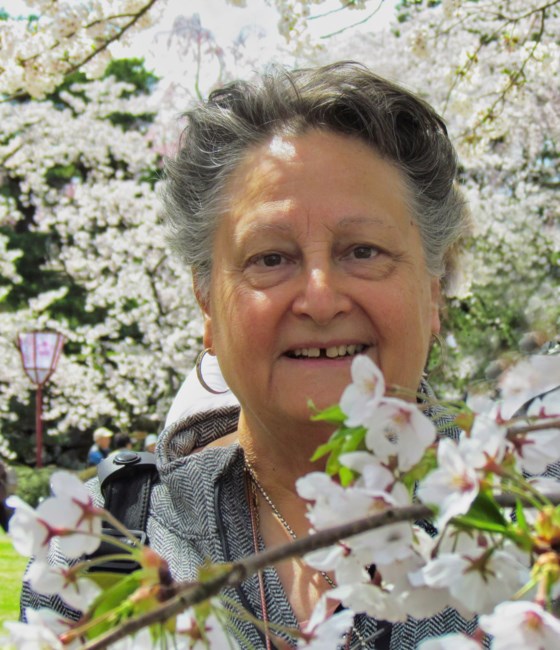 Madeleine Arrington Obituary - Albuquerque, NM