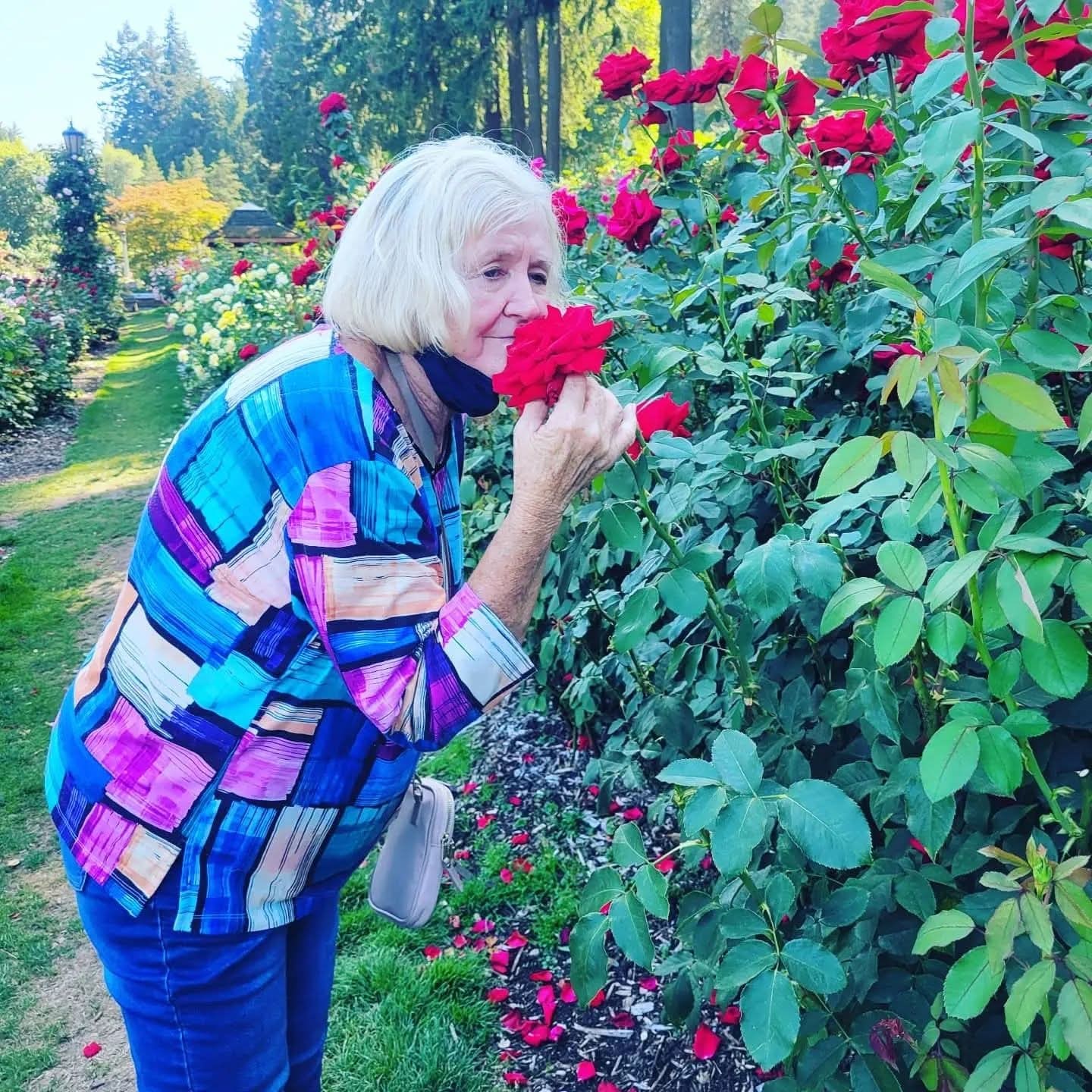 Sheila Williams avis de décès - Brandon, FL