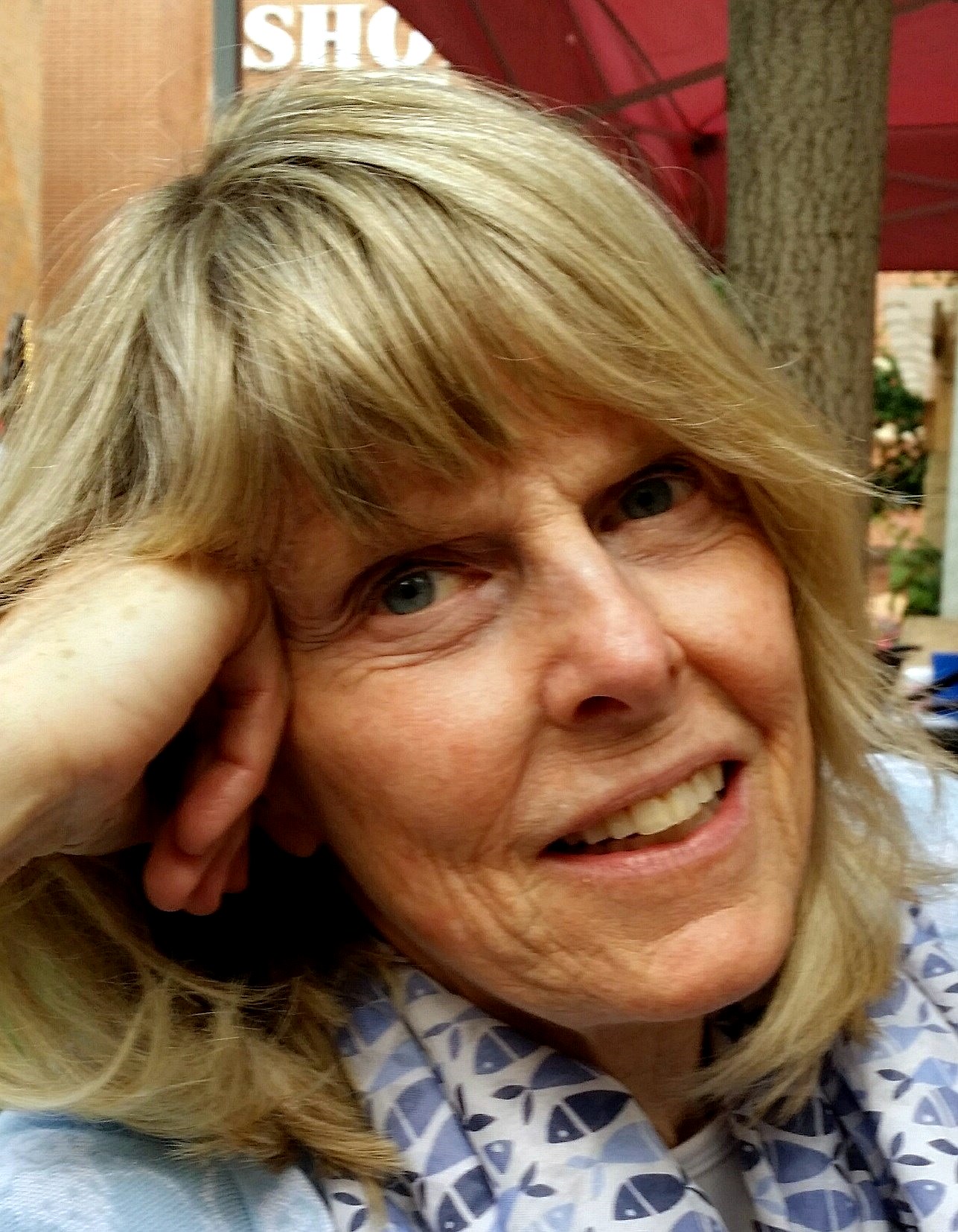 Janis Ann Halloran-Dahl Obituary - Waterville, ME