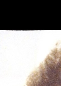 Carol Lee Gathof Obituary - Fredericksburg, VA Carol Lee Gathof Obituary - Fredericksburg, VA
