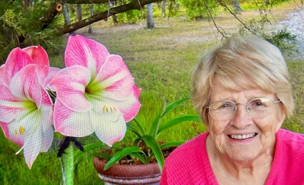 Patricia Harbin Obituary - Oviedo, FL