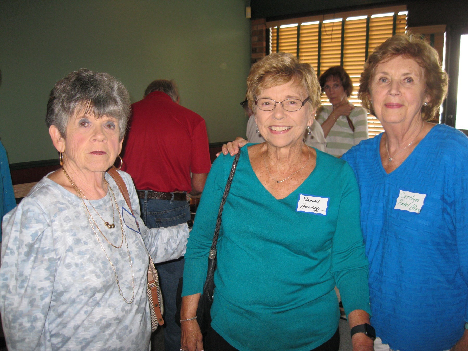 Sandra Schaab Obituary - Belleville, IL