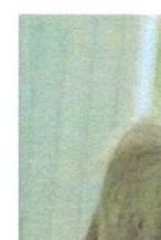 Sharon Snook Obituario Wichita Ks