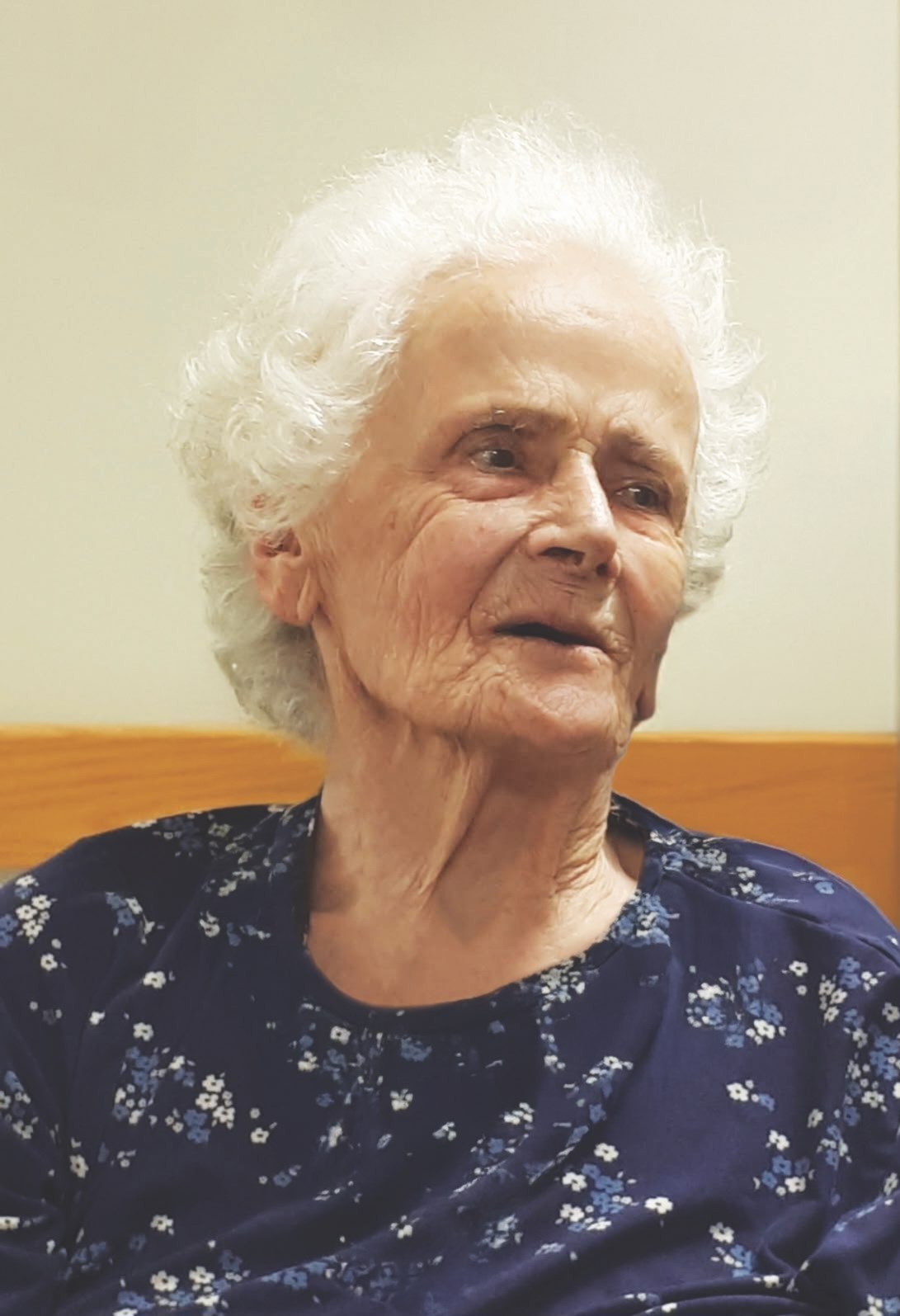 Maria Pellizzari Obituary - Guelph, ON
