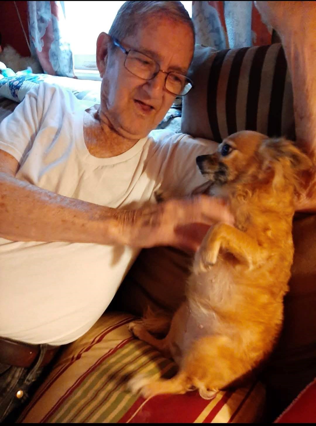 Richard Hayes Obituary - Raleigh, NC