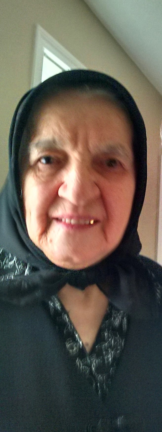 Ana Mohan Obituary - Kitchener, ON