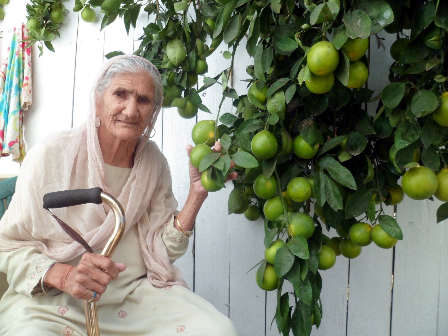 Swaran Kaur Obituary - North Hollywood, CA