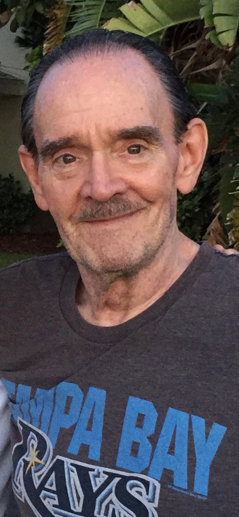 Albert Corr Obituary - Palm Harbor, FL