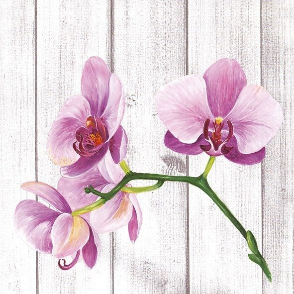 Nancy Karr Obituary - Culver City, CA