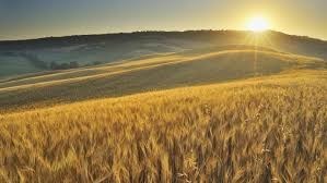 Thomas Winborne Obituary - Richmond, VA