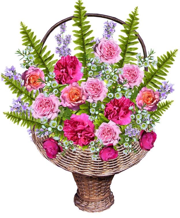 Alexandra Chung Obituary - Houston, TX