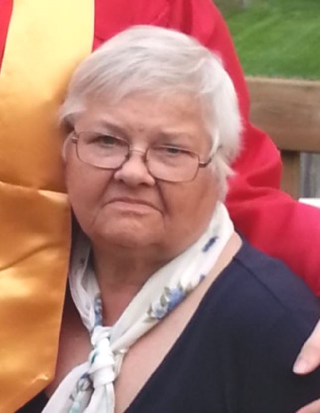 Marianne Elkins Obituary - Crown Point, IN