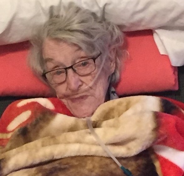 Catherine Halfaker Obituary - Beech Grove, IN