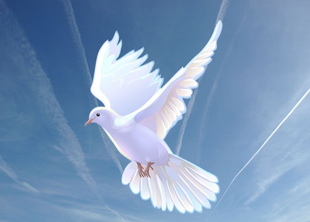 Ray Campbell Obituary - Seattle, WA