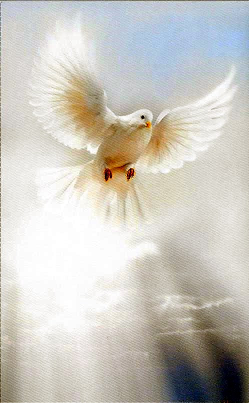 Jose Rodriguez Obituary - Miami, FL