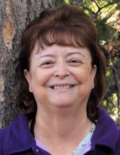Joyce Parrish MacDermott Obituary - Mesa, AZ