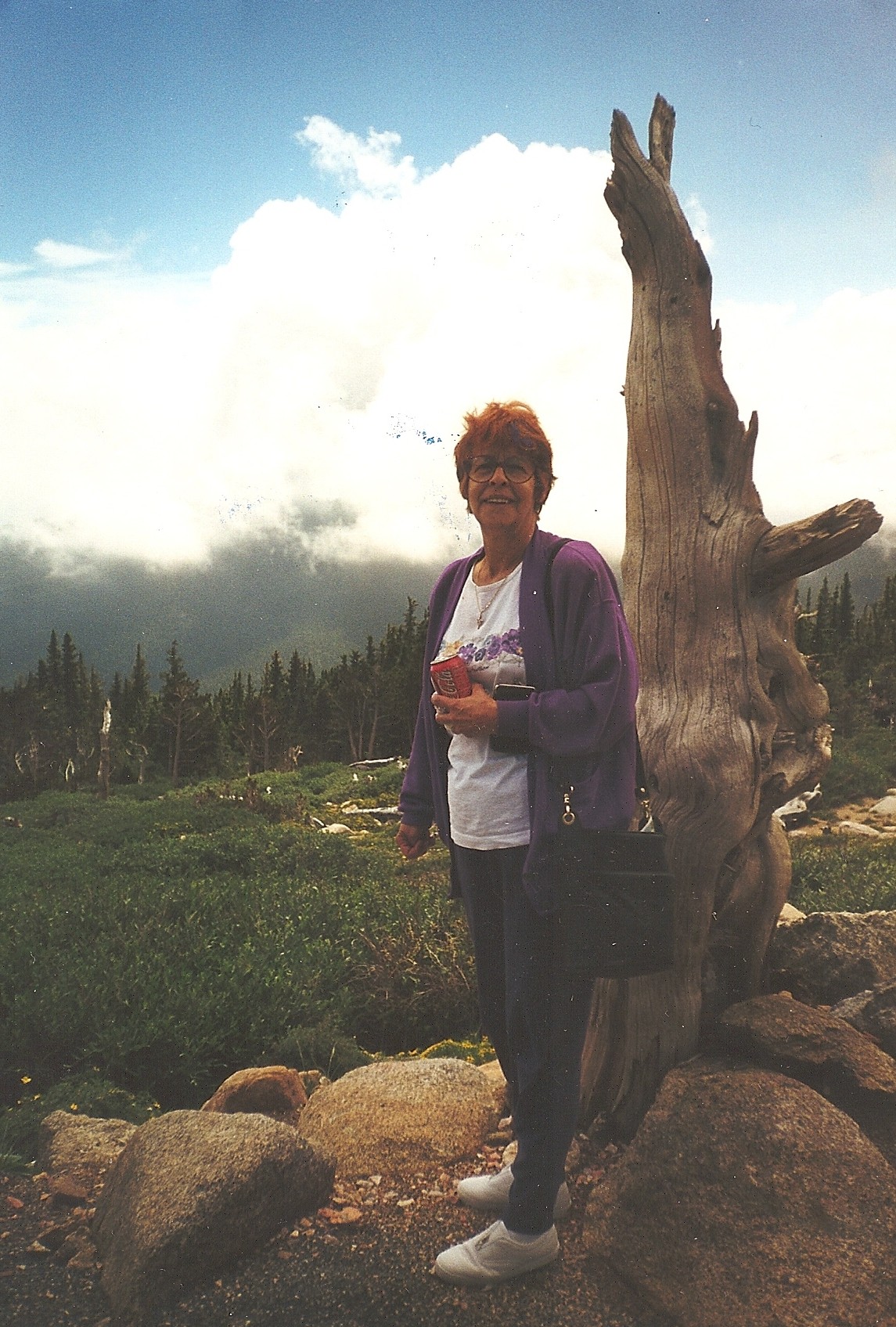 Frances M. Ridinger Obituary - Kansas City, MO