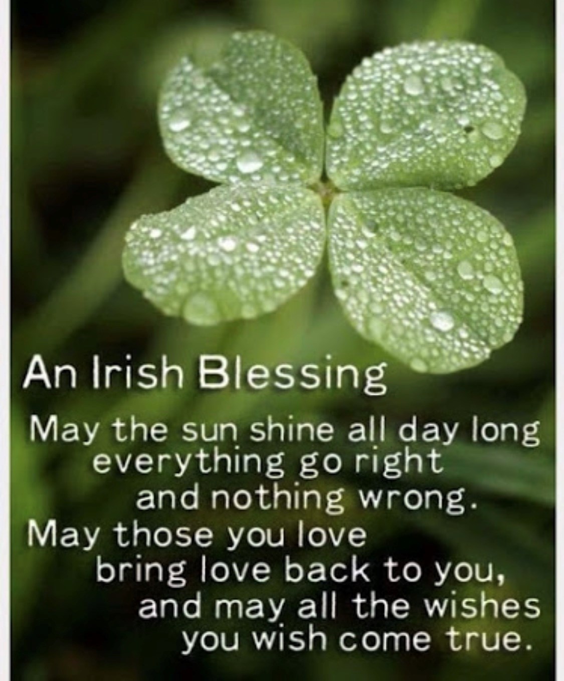 Timothy McElhone Obituary - East Lansing, MI