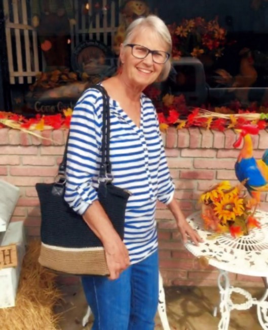 Jan Fletcher Obituary - Brooksville, FL