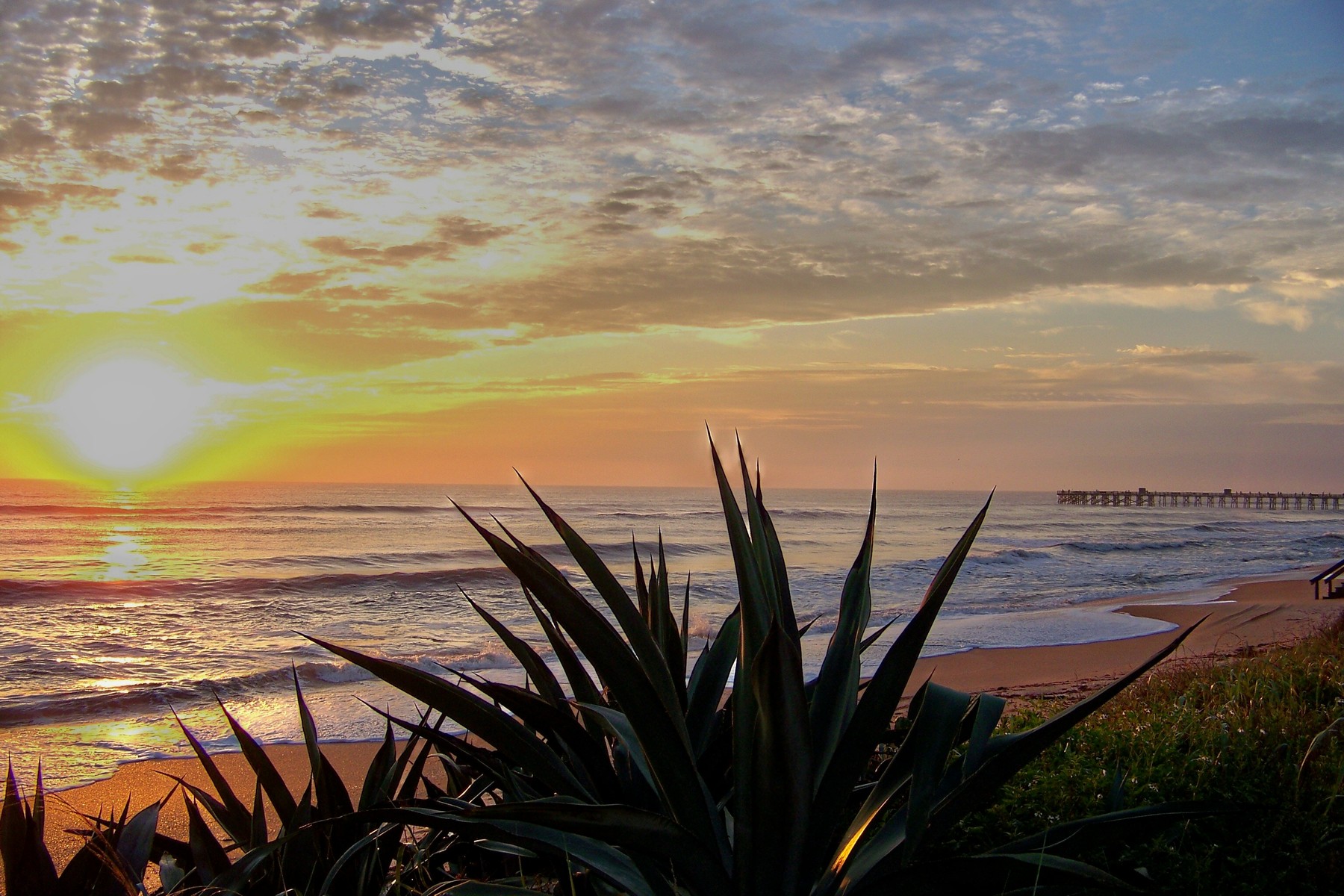 Sara Tanner Obituary - Jacksonville, FL