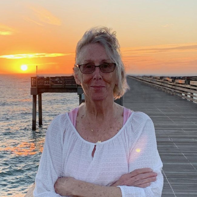 Carol Steinbrecher Obituary - Byron Center, MI