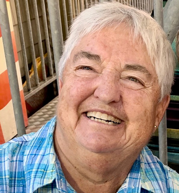 Susan Fernandez Obituary - Goodyear, AZ