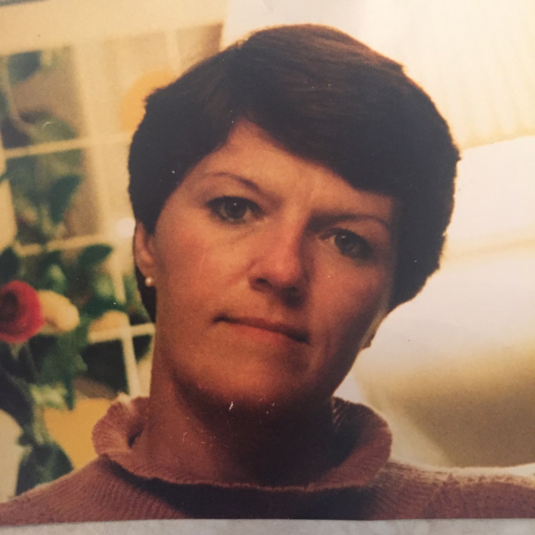 Diane M Rampino Obituary - Clearwater, FL