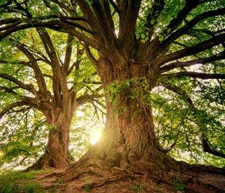 Scott Bates Obituary - Hughson, CA