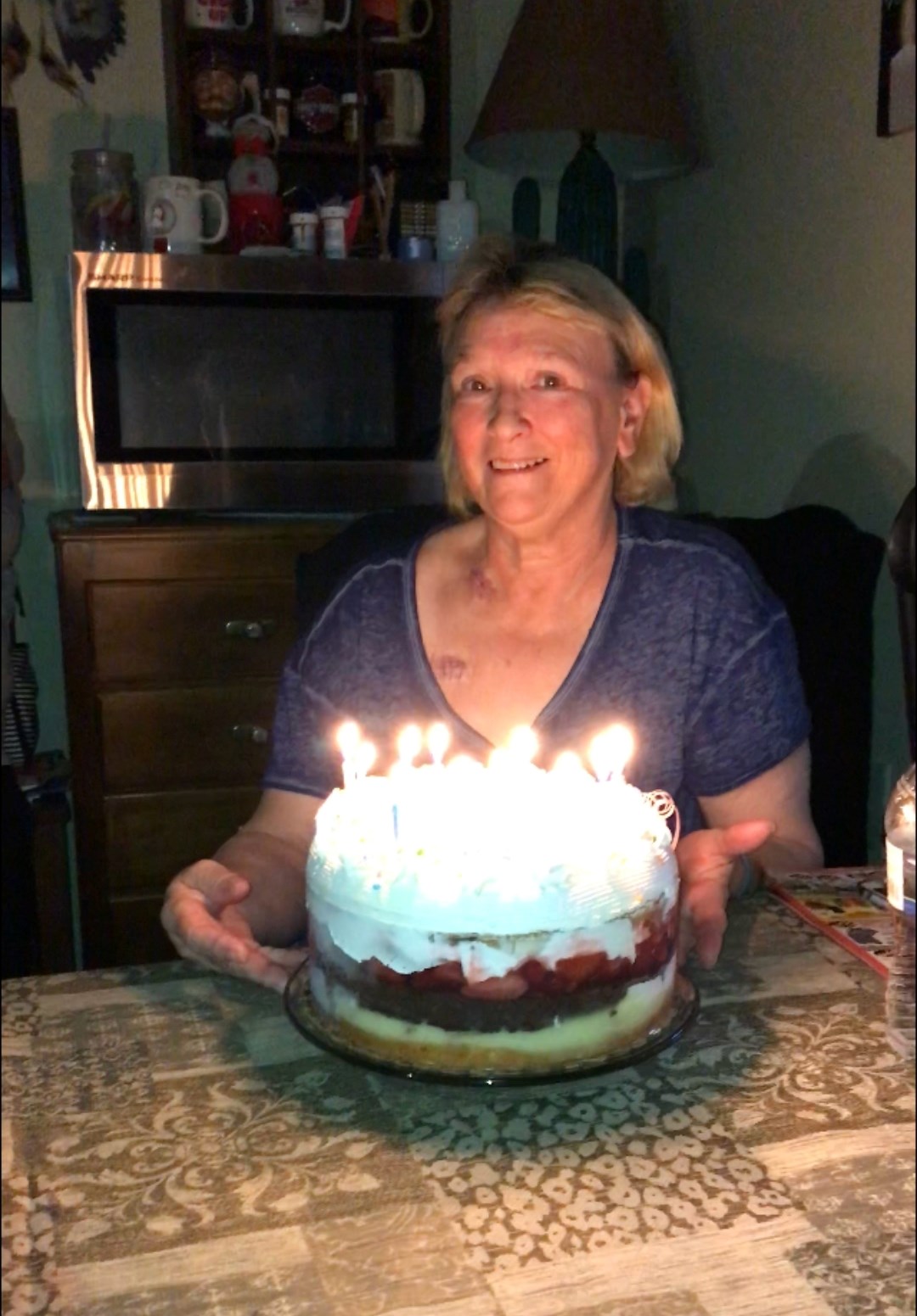 Sharon Conroy Obituary - Oak Lawn, IL