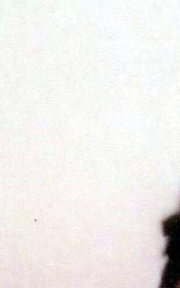 Olga Reyna Obituary - Brownsville, TX Olga Reyna Obituary - Brownsville, TX