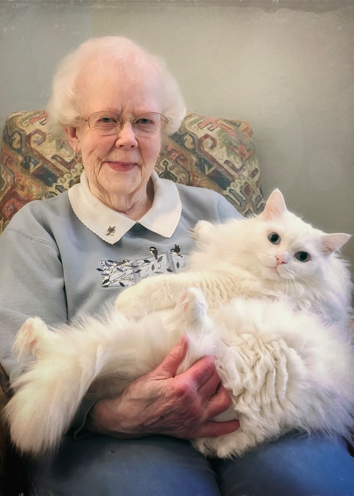 Shirley Jean Schoettger Obituary - Omaha, NE
